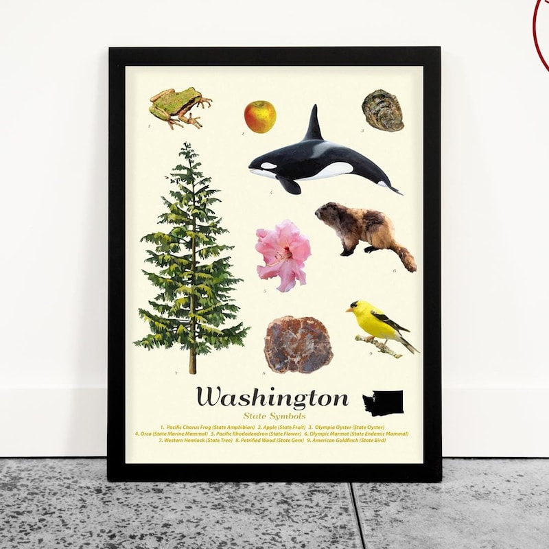 Washington State Art - Etsy