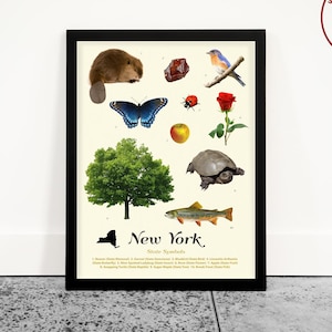 New York State Symbols Poster, New York Wall Art,new York Home Decor - Etsy