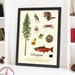 Oregon State Symbols Poster, Oregon Wall Art, Oregon Home Decor ...