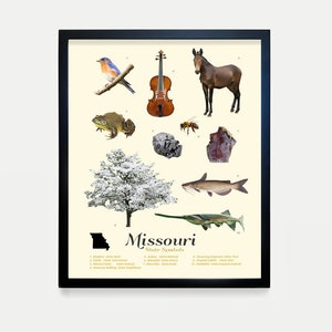 Missouri State Symbols Typology, Missouri Art, Missouri Poster ...