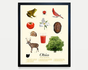 Ohio Icon Watercolor Illustration - Etsy