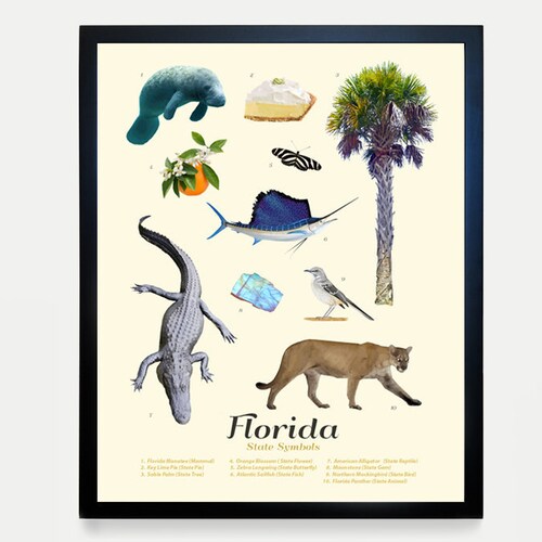 Florida State Symbols Typology Florida Poster Florida Wall - Etsy