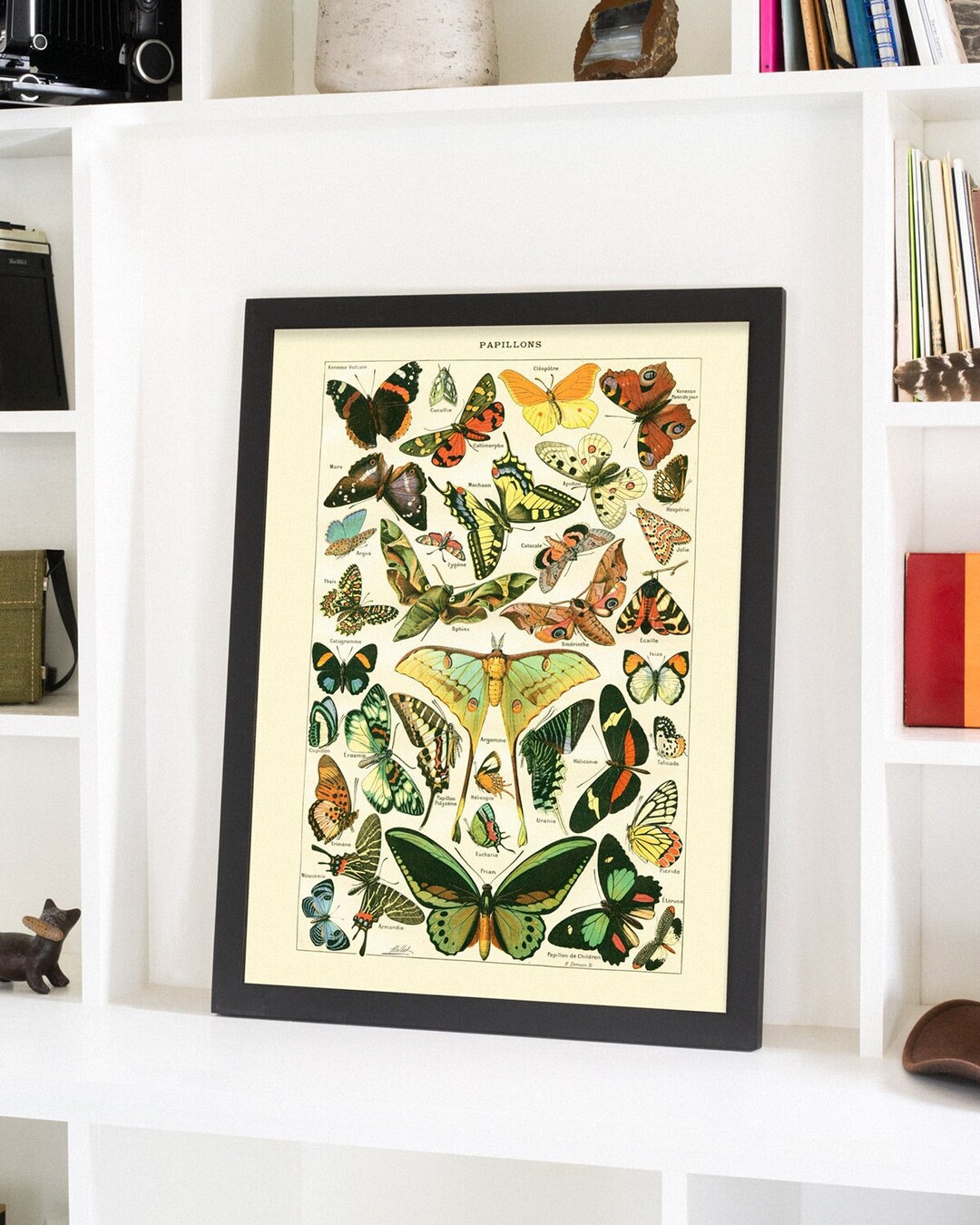 Butterfly Typology Poster – Vintage Butterfly Wall Art, Nature ...