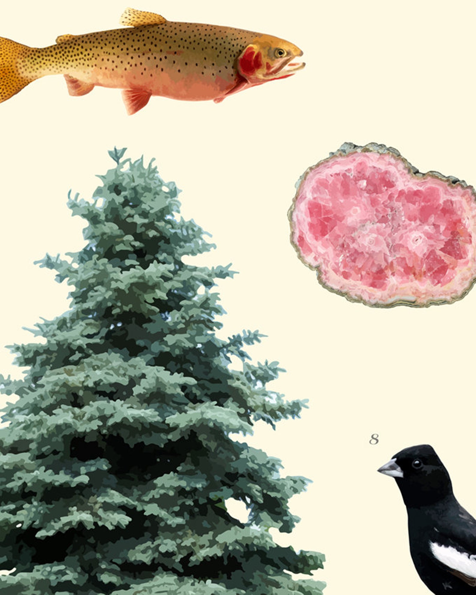 Colorado State Symbols Typology Colorado Art Colorado Poster Colorado ...