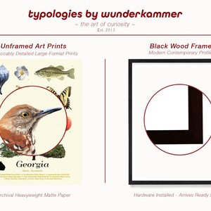 Georgia State Symbols Typology Poster, Georgia Wall Art, Georgia Home ...