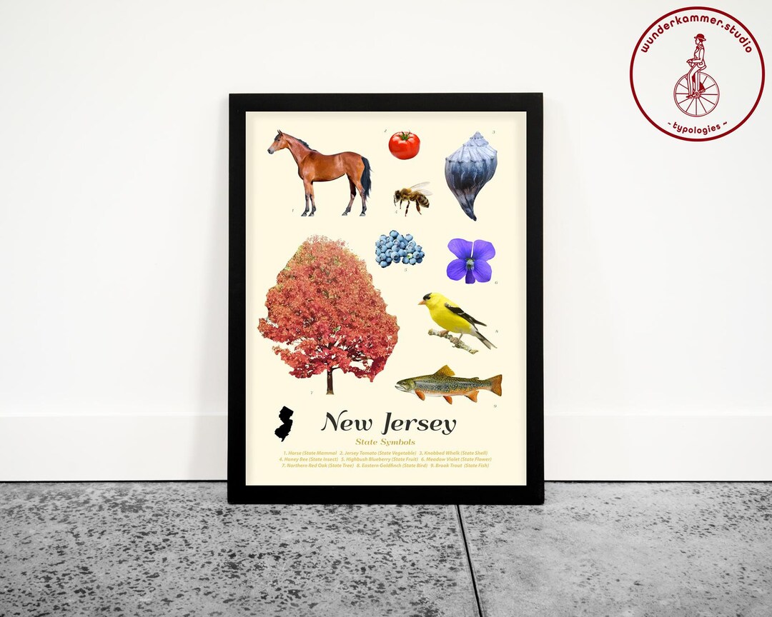 New Jersey State Symbols Poster, New Jersey Wall Art, New Jersey Home ...