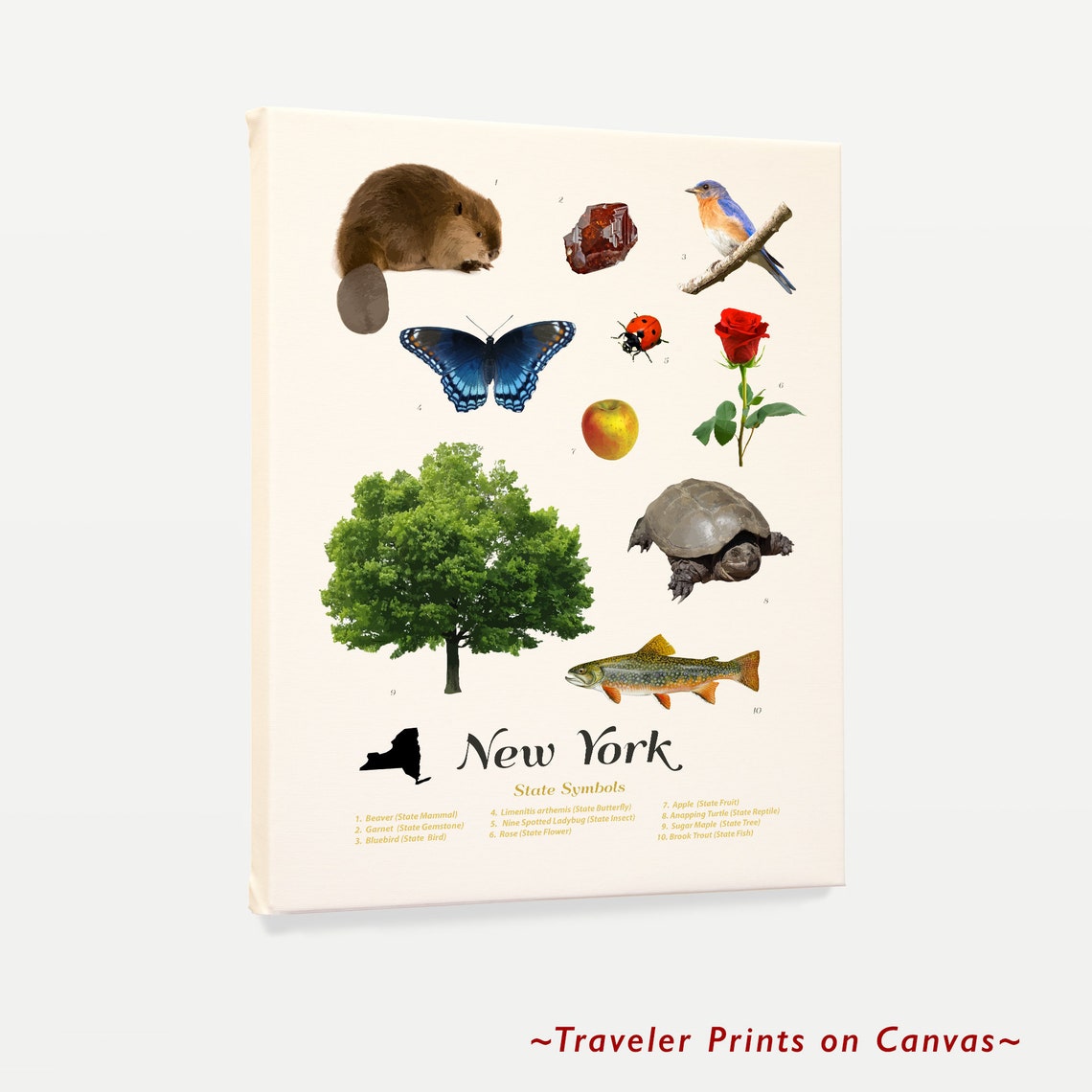 New York State Symbols Poster New York Wall Art New York - Etsy