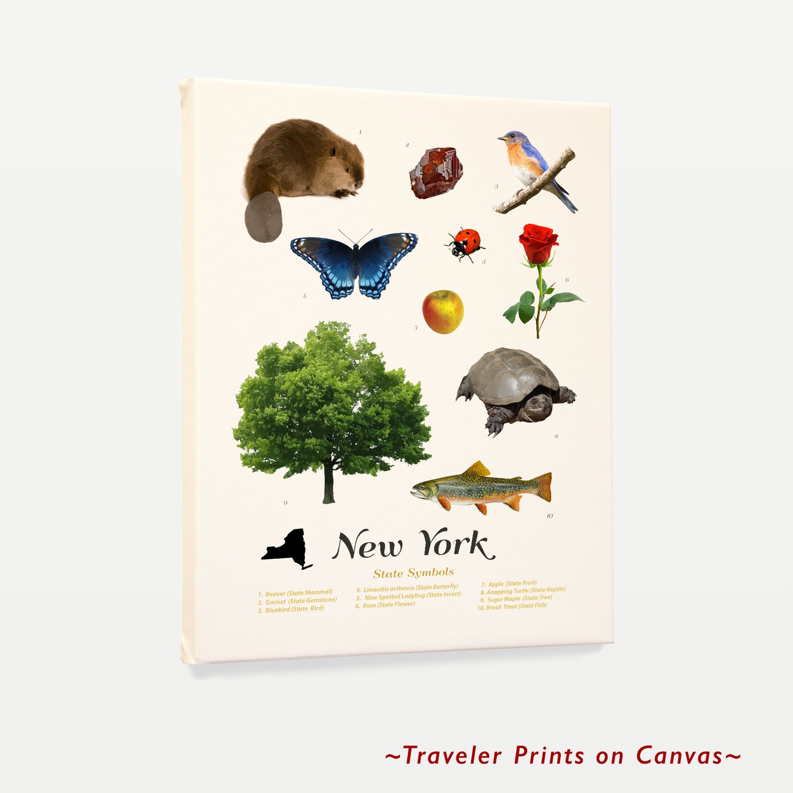 New York State Symbols Poster New York Wall Art New York - Etsy