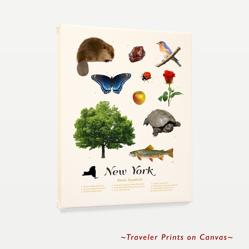 New York State Symbols Art Print: Home Decor - Etsy