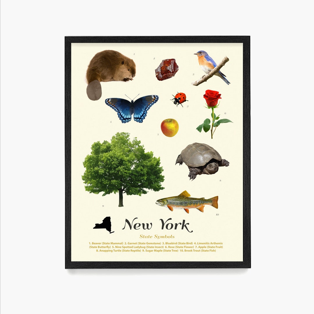 New York State Symbols Poster, New York Wall Art, New York Poster, New ...
