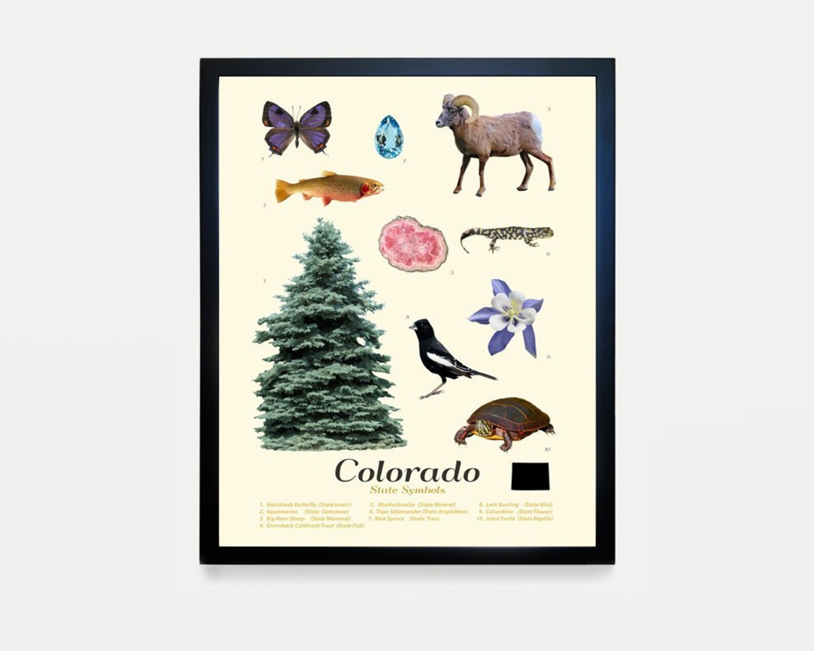 Colorado State Symbols Typology Colorado Art Colorado Poster Colorado ...