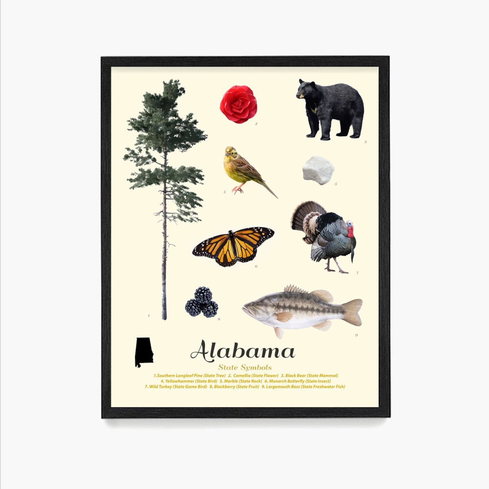 Alabama State Symbols Art Print: Yellowhammer, Blackberry, Camellia - Etsy