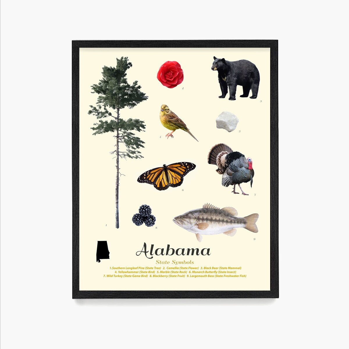 Alabama State Symbols Art Print: Yellowhammer, Blackberry, Camellia - Etsy