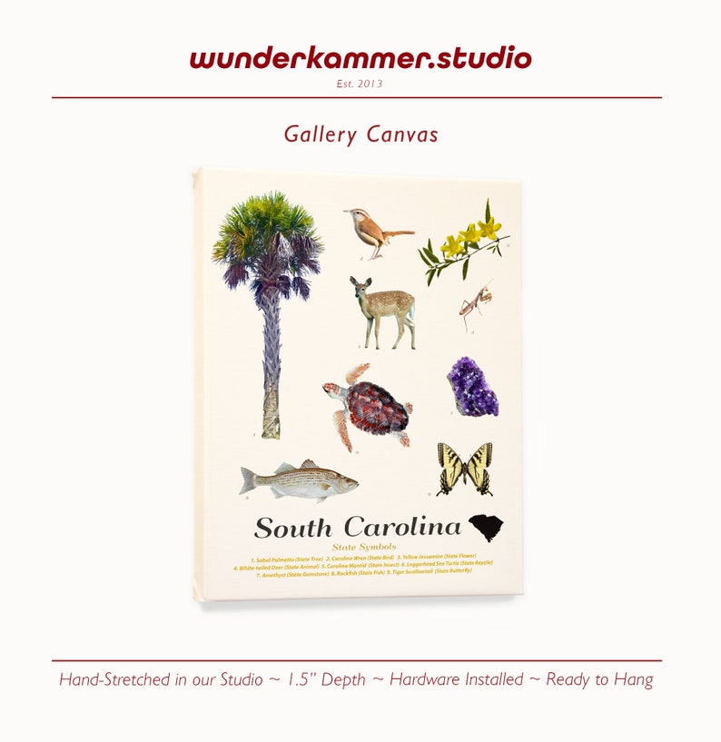 South Carolina State Symbols Art Print: Ecology Typology Poster - Etsy