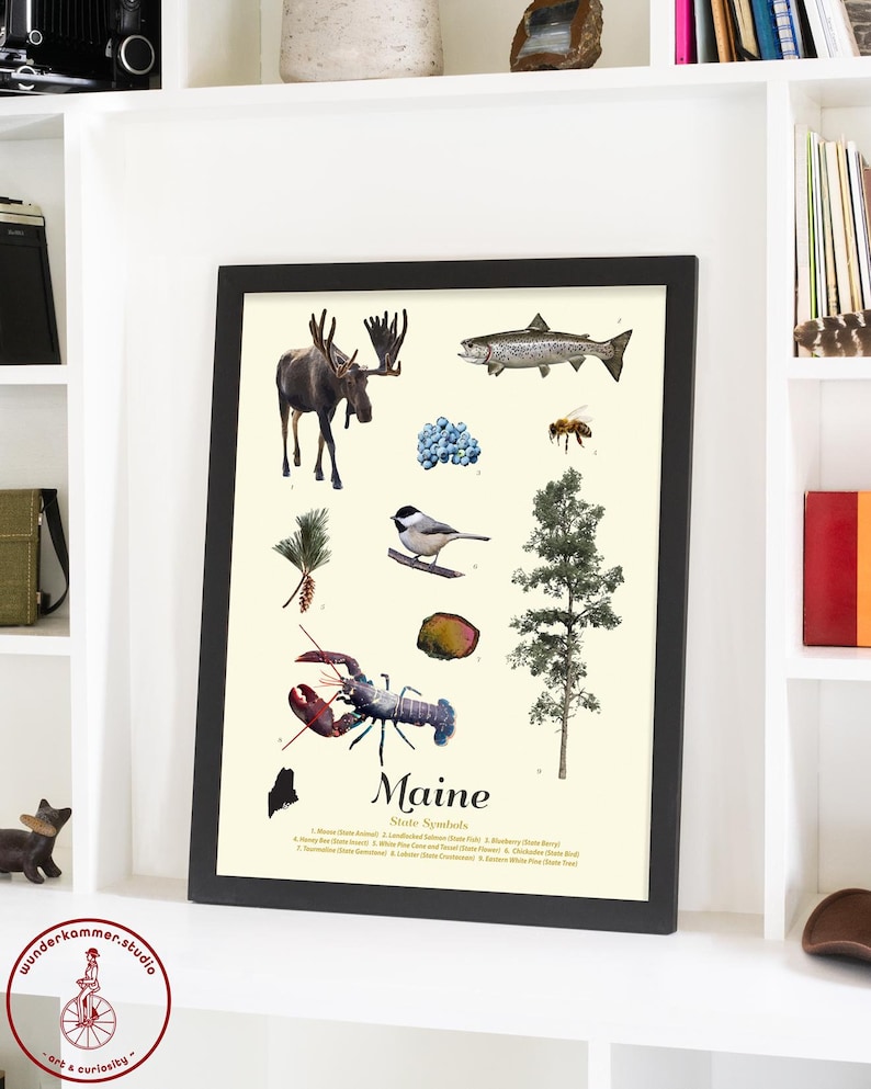 Maine State Symbols Art Print: Typology Poster, Maine Home Decor - Etsy