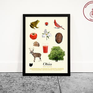 Ohio State Symbols Art Print: Typology Poster - Etsy