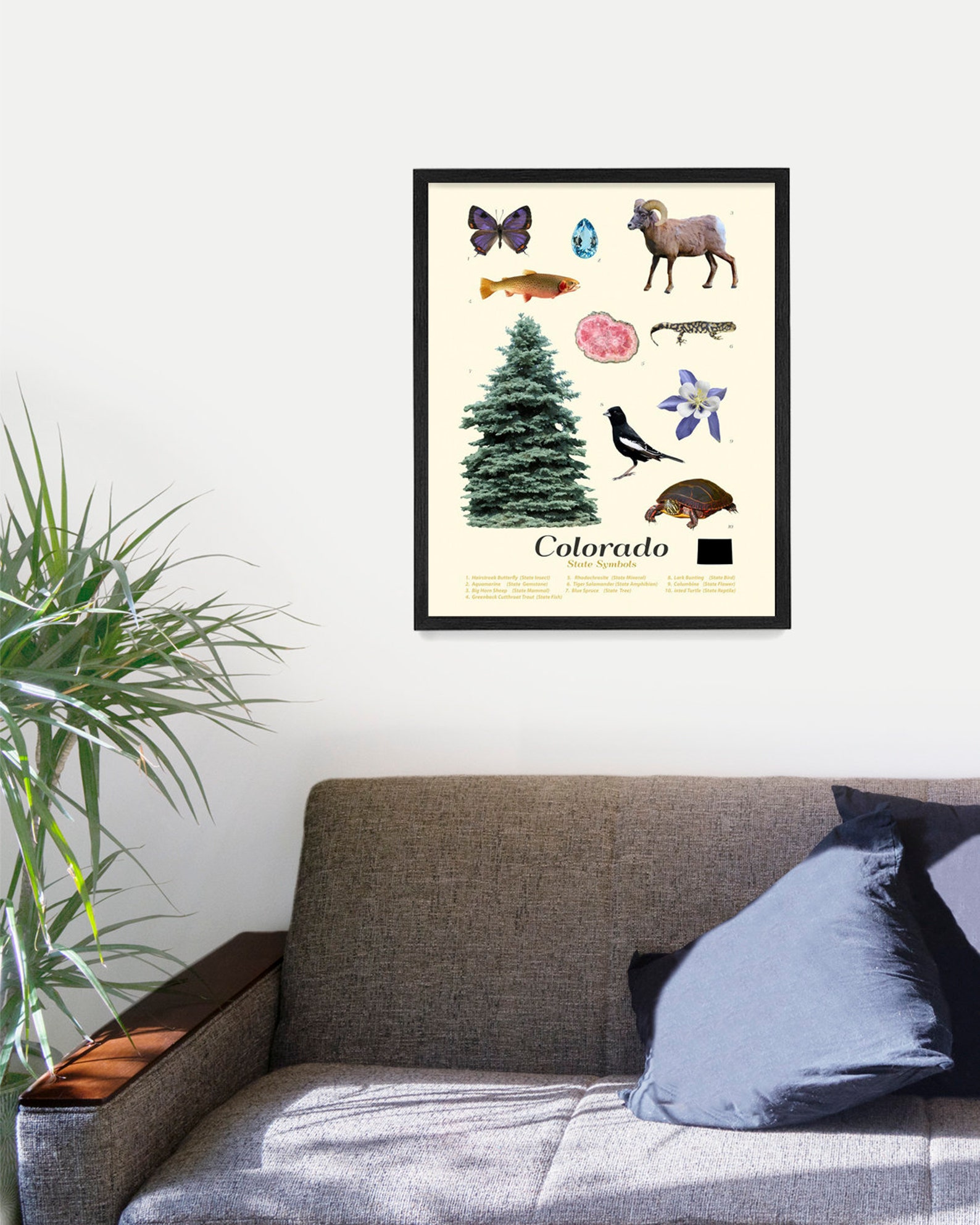 Colorado State Symbols Typology Colorado Art Colorado Poster Colorado ...