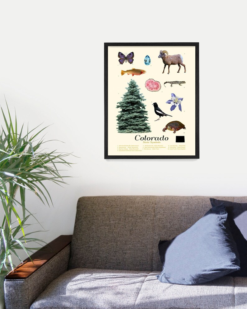 Colorado State Symbols Typology Colorado Art Colorado | Etsy