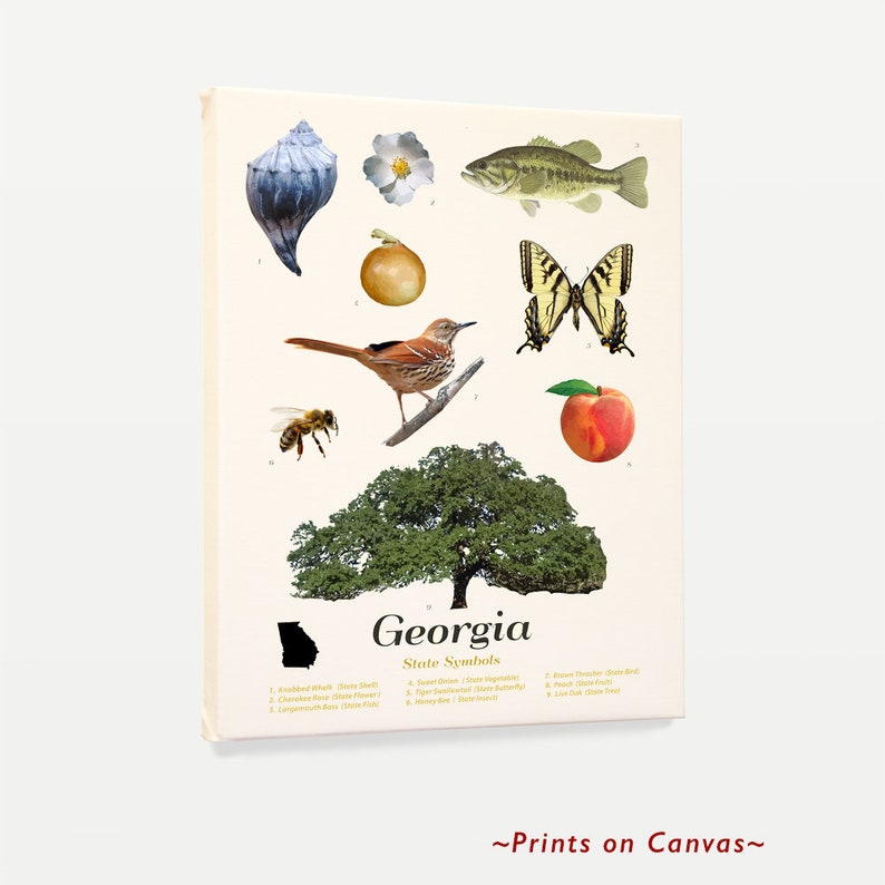 Georgia State Symbols Typology Poster Georgia Wall Art - Etsy