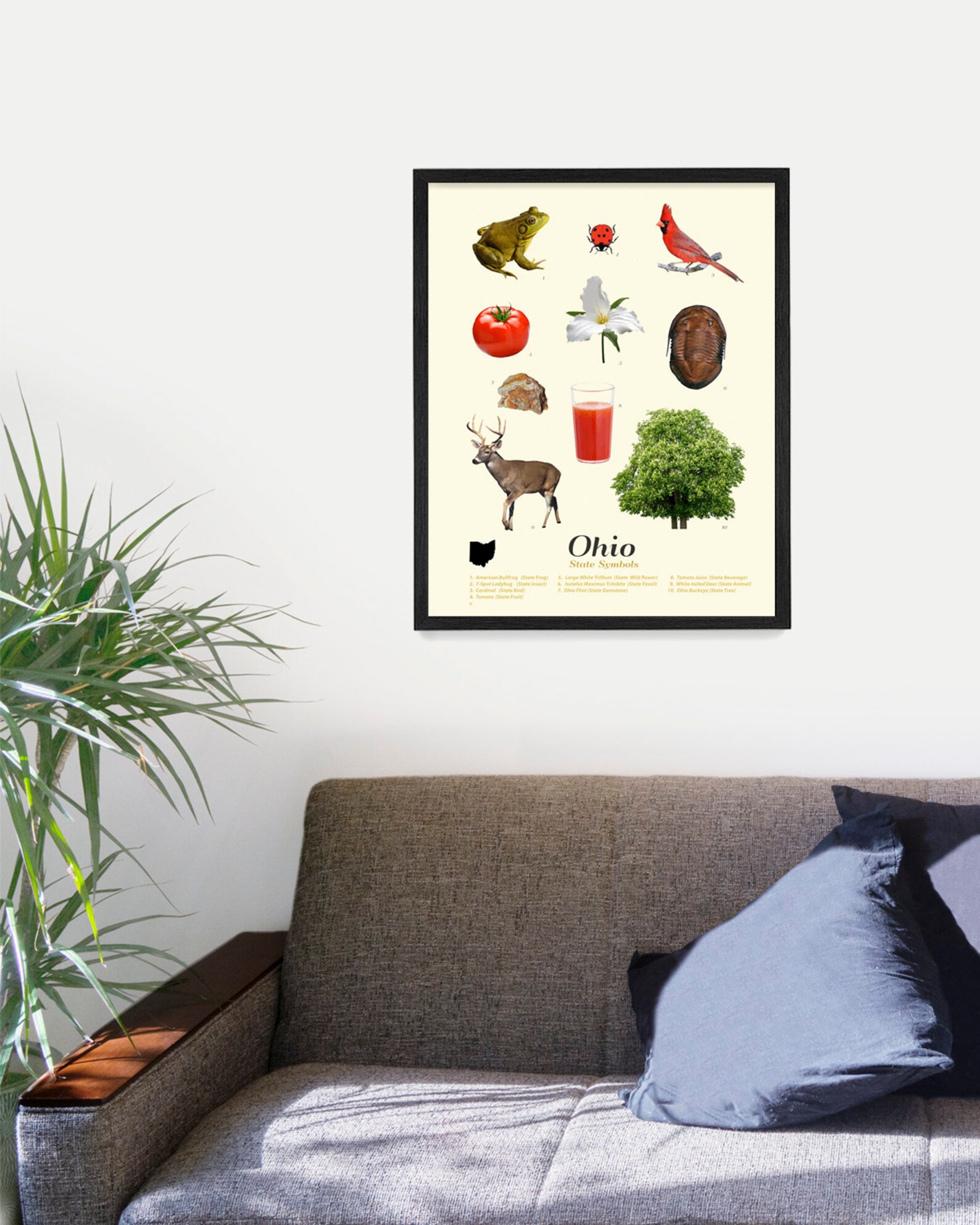 Ohio State Symbols Typology Poster Ohio Wall Art Ohio Home - Etsy