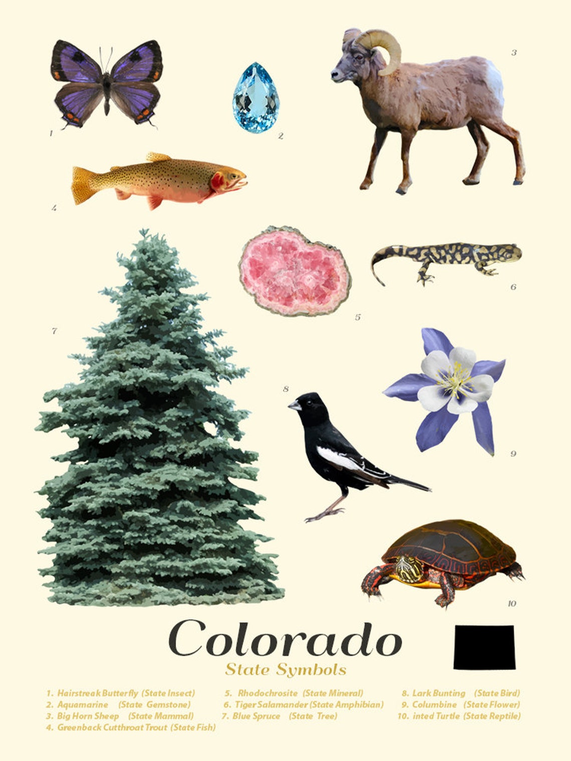 Colorado State Symbols Typology Colorado Art Colorado | Etsy