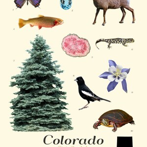 Colorado State Symbols Typology Colorado Art Colorado Poster Colorado ...