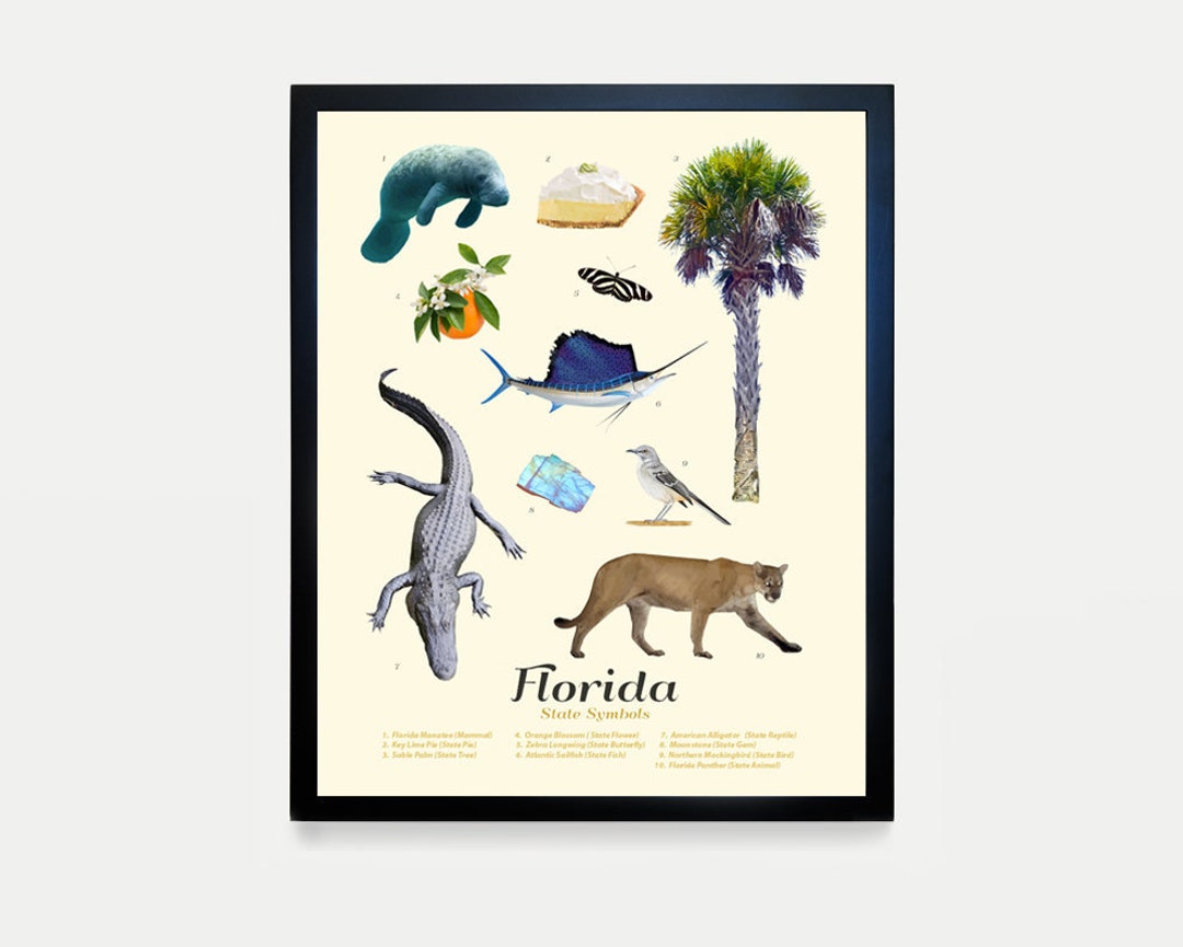 Florida State Symbols Typology, Florida Poster, Florida Wall Art ...