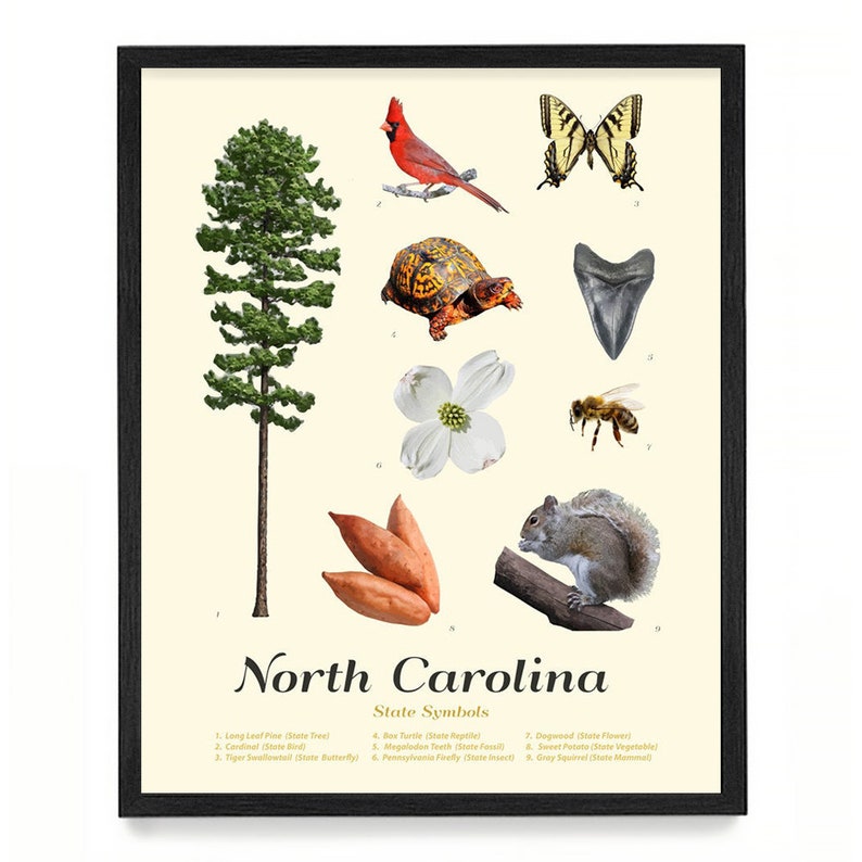 North Carolina State Symbols Typology North Carolina Art - Etsy