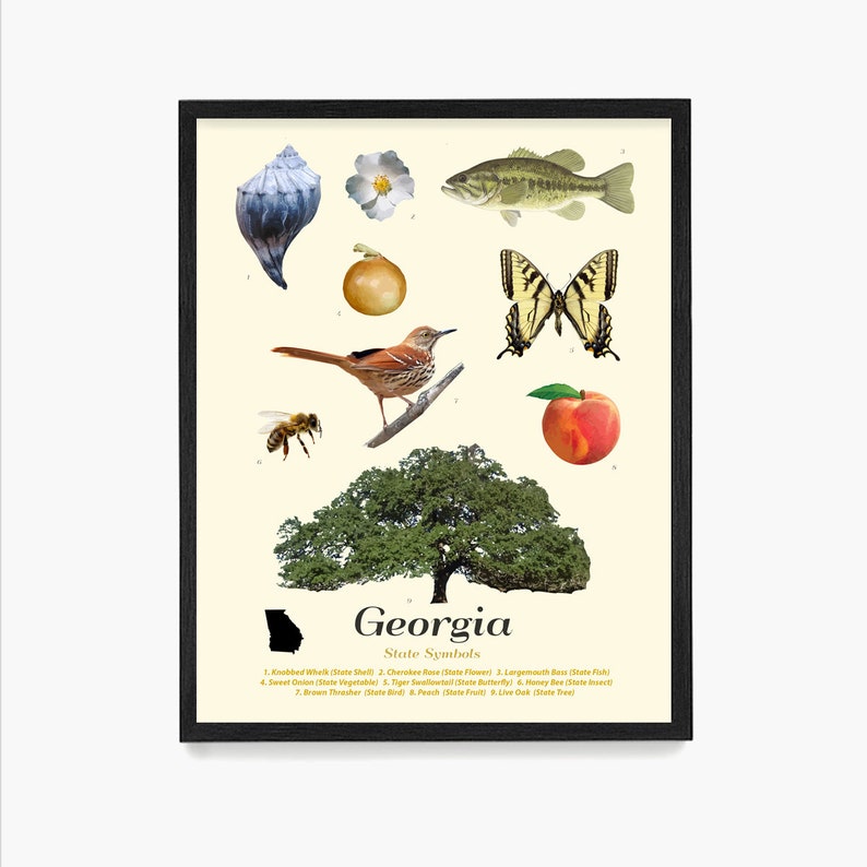 Georgia State Symbols Typology Poster Georgia Wall Art - Etsy