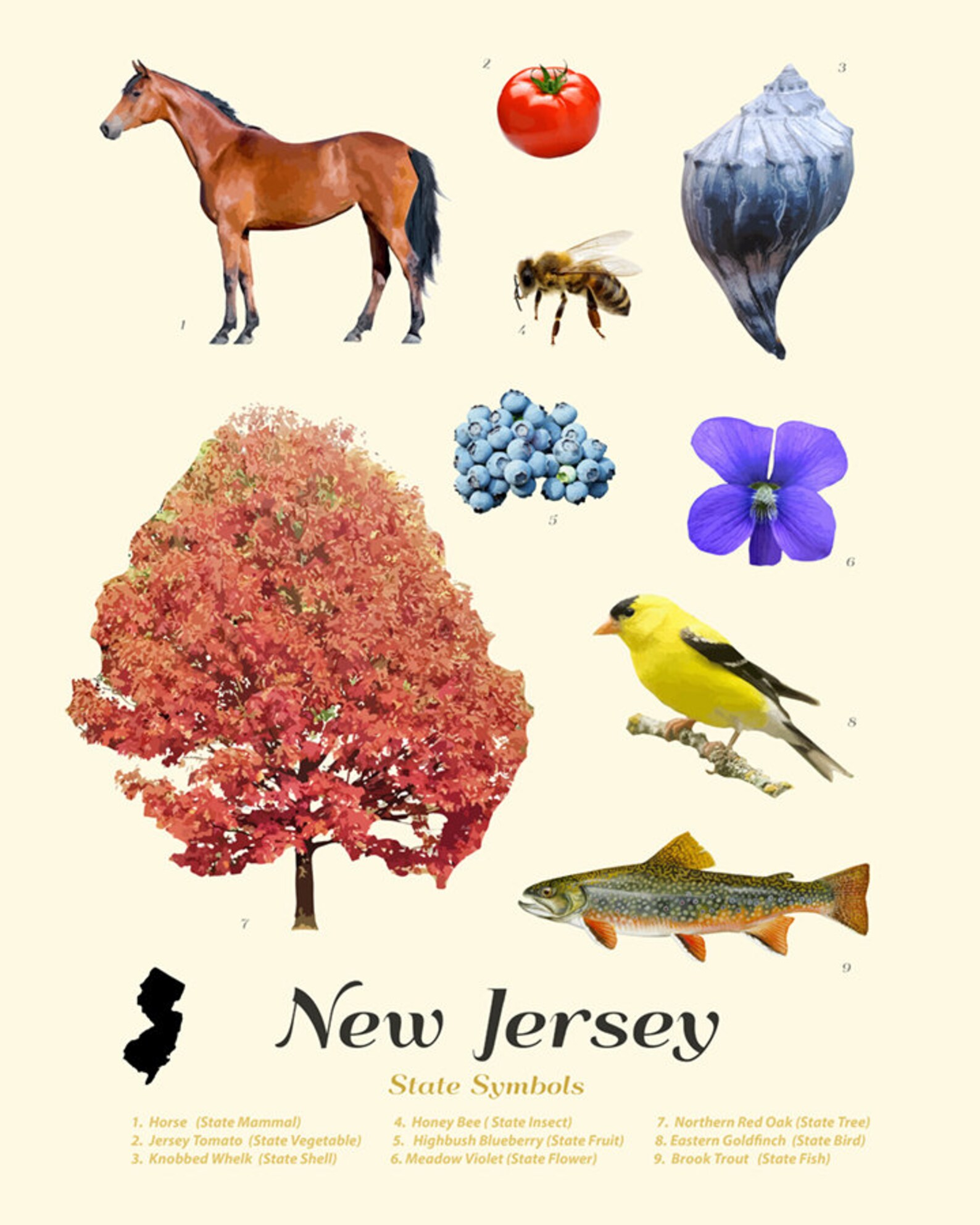 New Jersey State Symbols Typology New Jersey Art New | Etsy