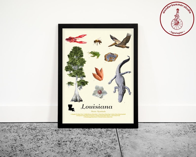 Louisiana State Symbols Art Print: New Orleans Home Decor - Etsy