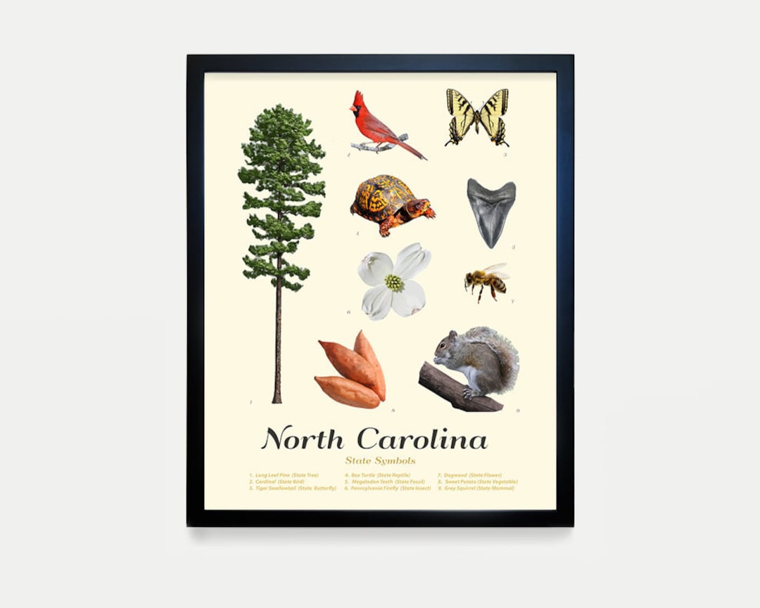 North Carolina State Symbols Typology North Carolina Art North Carolina ...