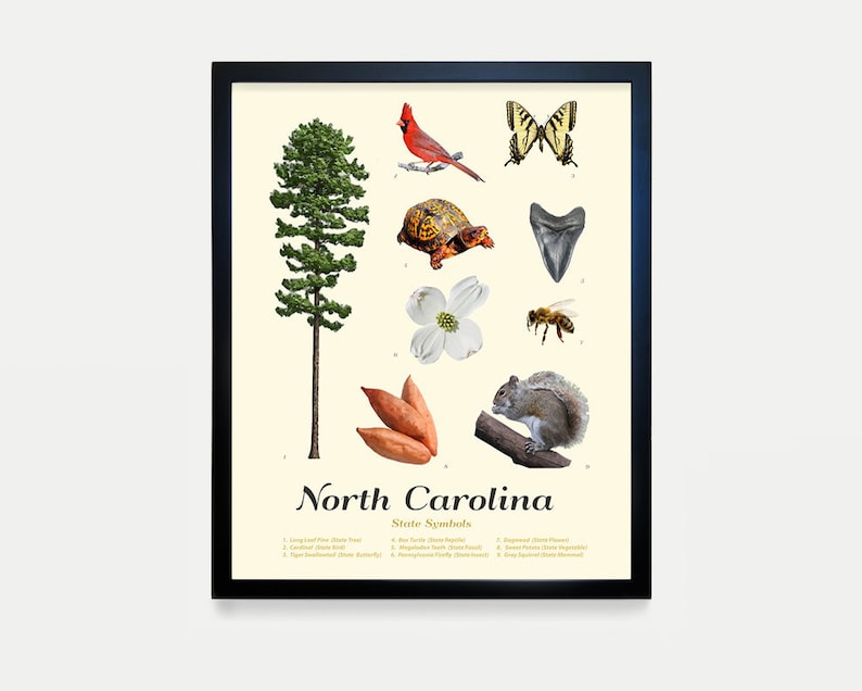 North Carolina State Symbols Typology North Carolina Art - Etsy