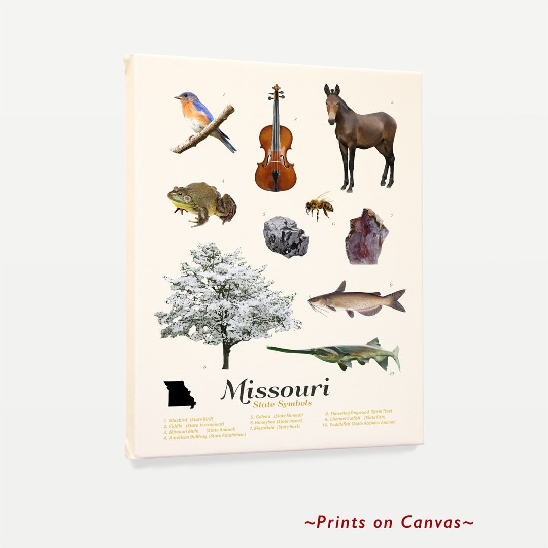 Missouri State Symbols Typology Missouri Art Missouri | Etsy