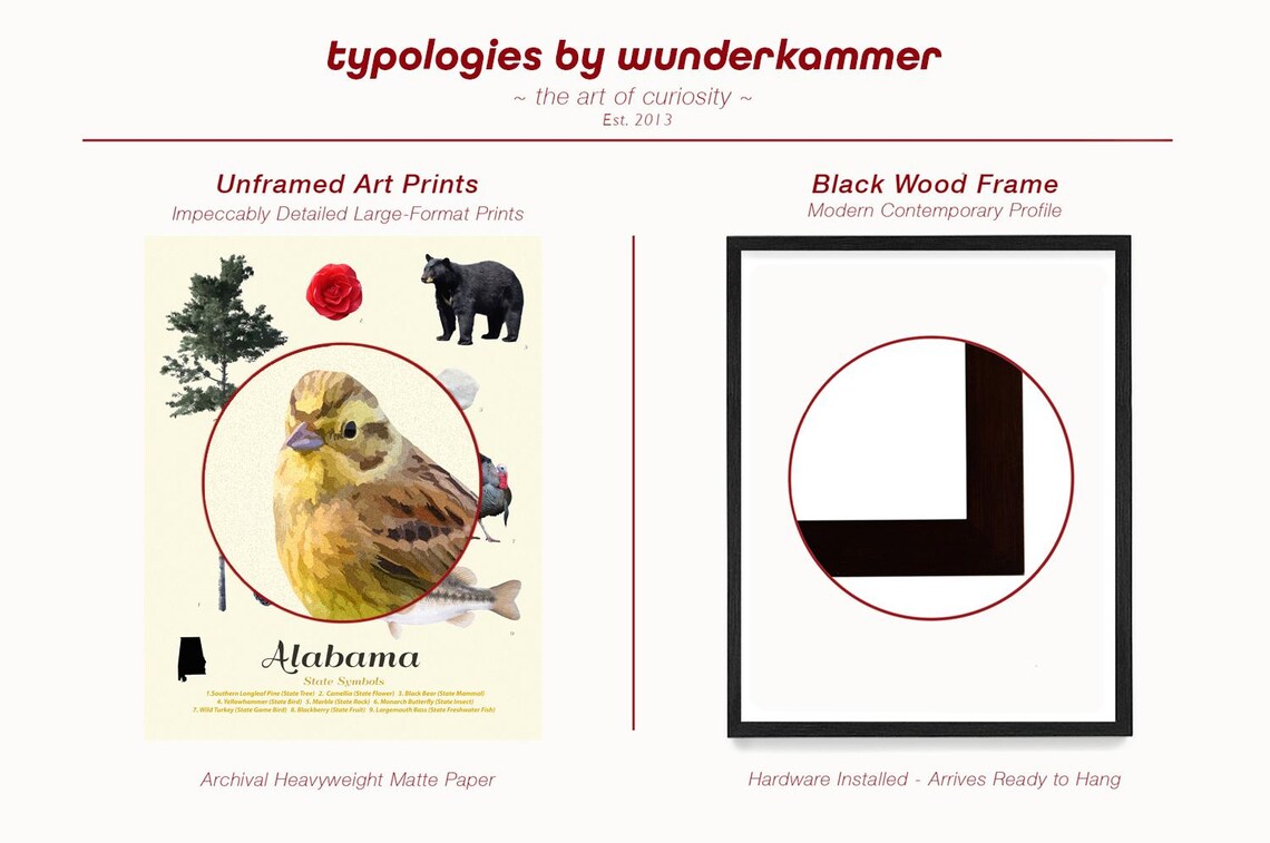 Alabama State Symbols Art Print: Yellowhammer, Blackberry, Camellia - Etsy