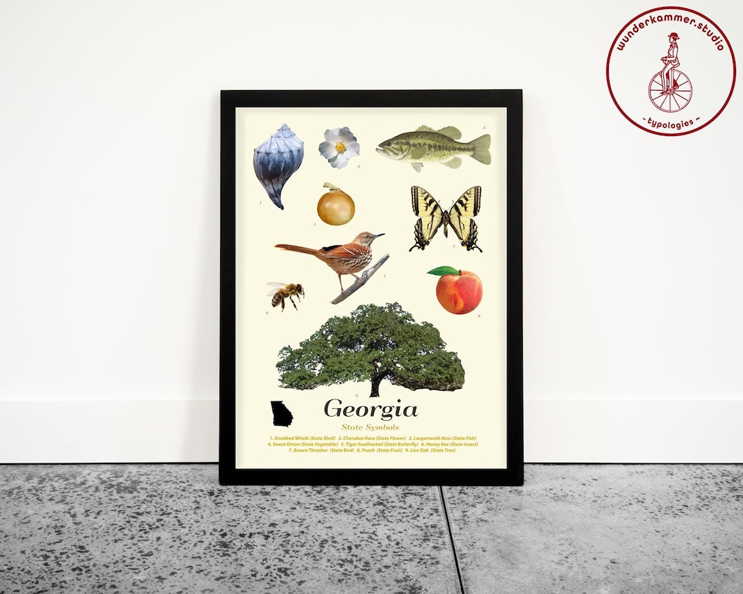 Georgia State Symbols Art Print: Typology Poster - Etsy