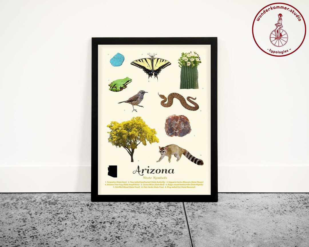 Arizona State Symbols Art Print: Typology Poster - Etsy
