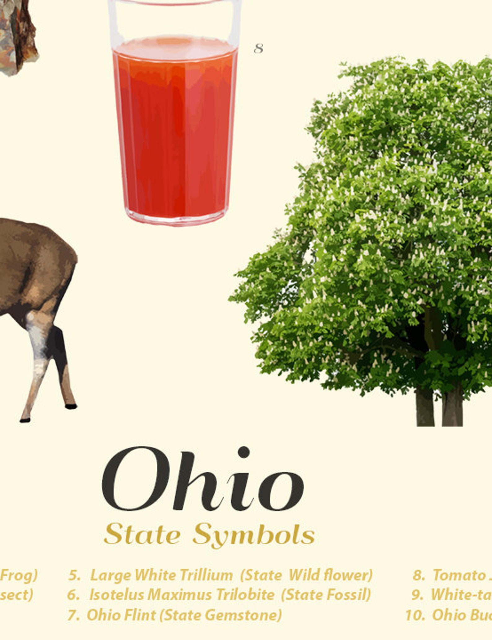 Ohio State Symbols Art Print: Typology Poster - Etsy