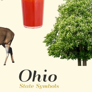 Ohio State Symbols Typology Poster, Ohio Wall Art, Ohio Home Decor ...