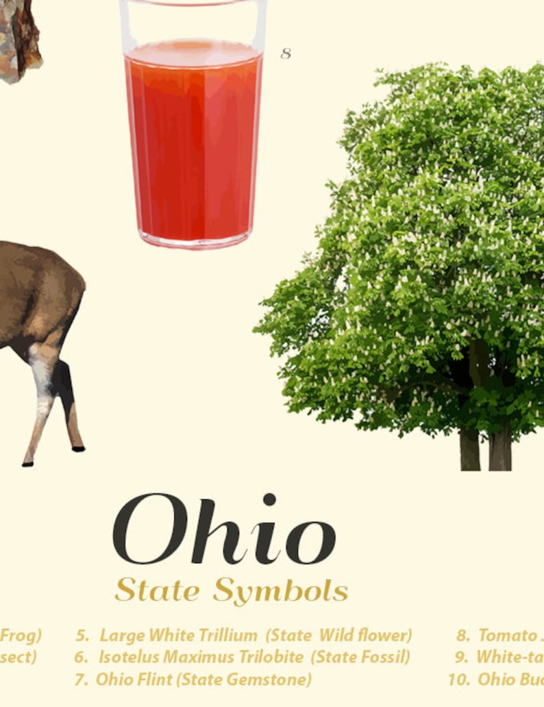 Ohio State Symbols Typology Poster Ohio Wall Art Ohio Home - Etsy