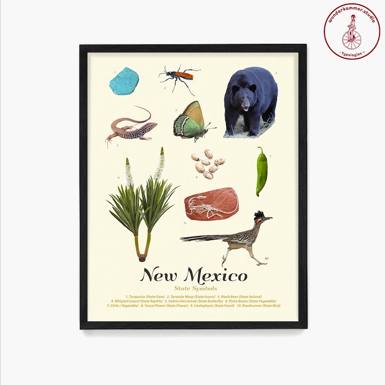 New Mexico State Symbols Art Print: Typology Poster - Etsy