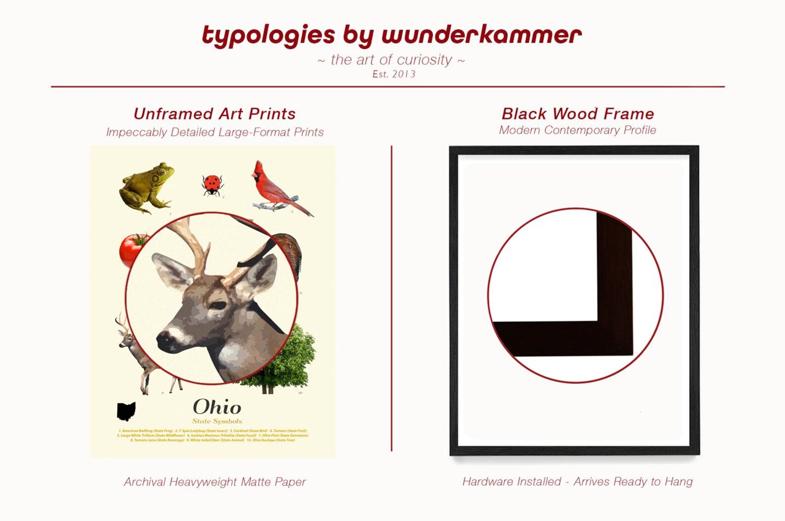 Ohio State Symbols Art Print: Typology Poster - Etsy