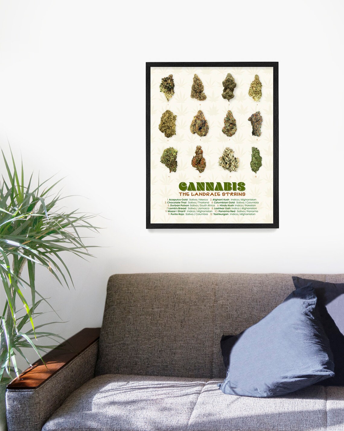 Cannabis Poster the Landrace Cannabis Strains Poster - Etsy