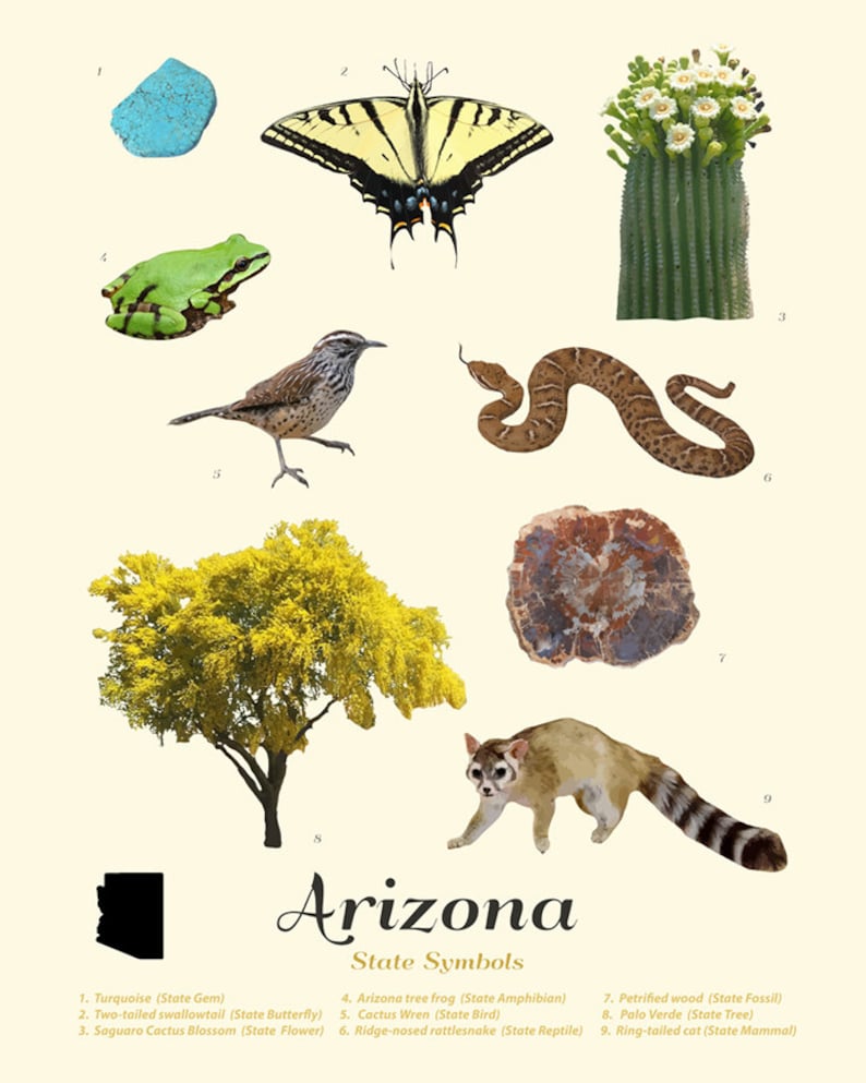 Arizona State Symbols Typology Arizona Art Arizona Poster - Etsy