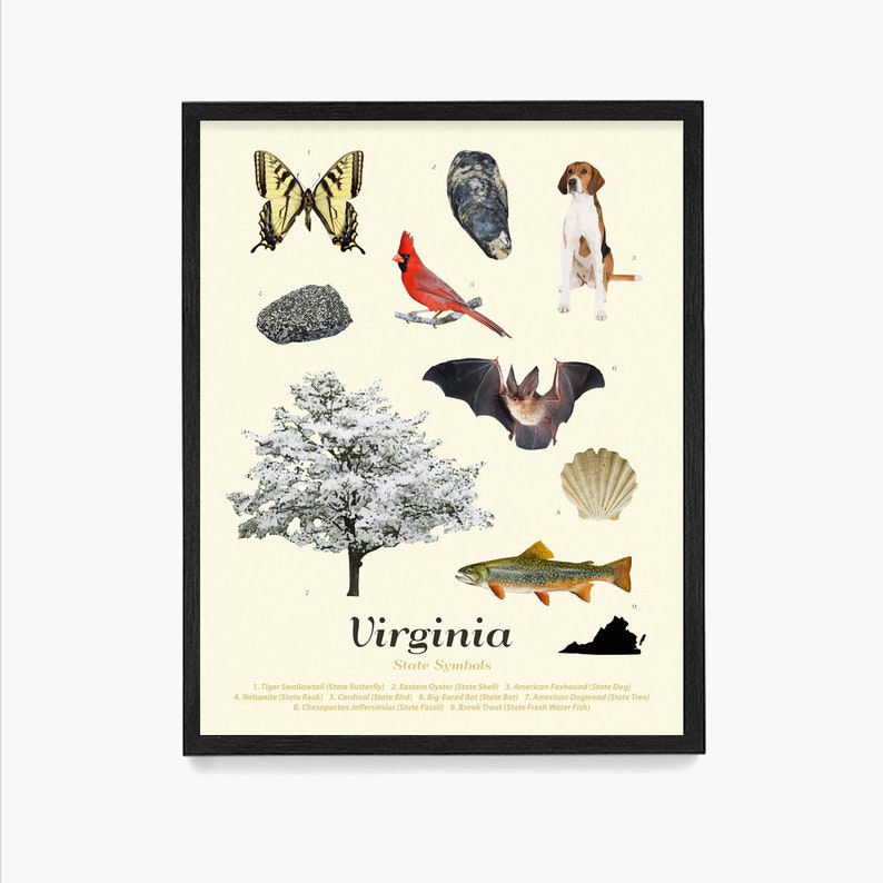 Virginia State Symbols Art Print: Typology Poster - Etsy