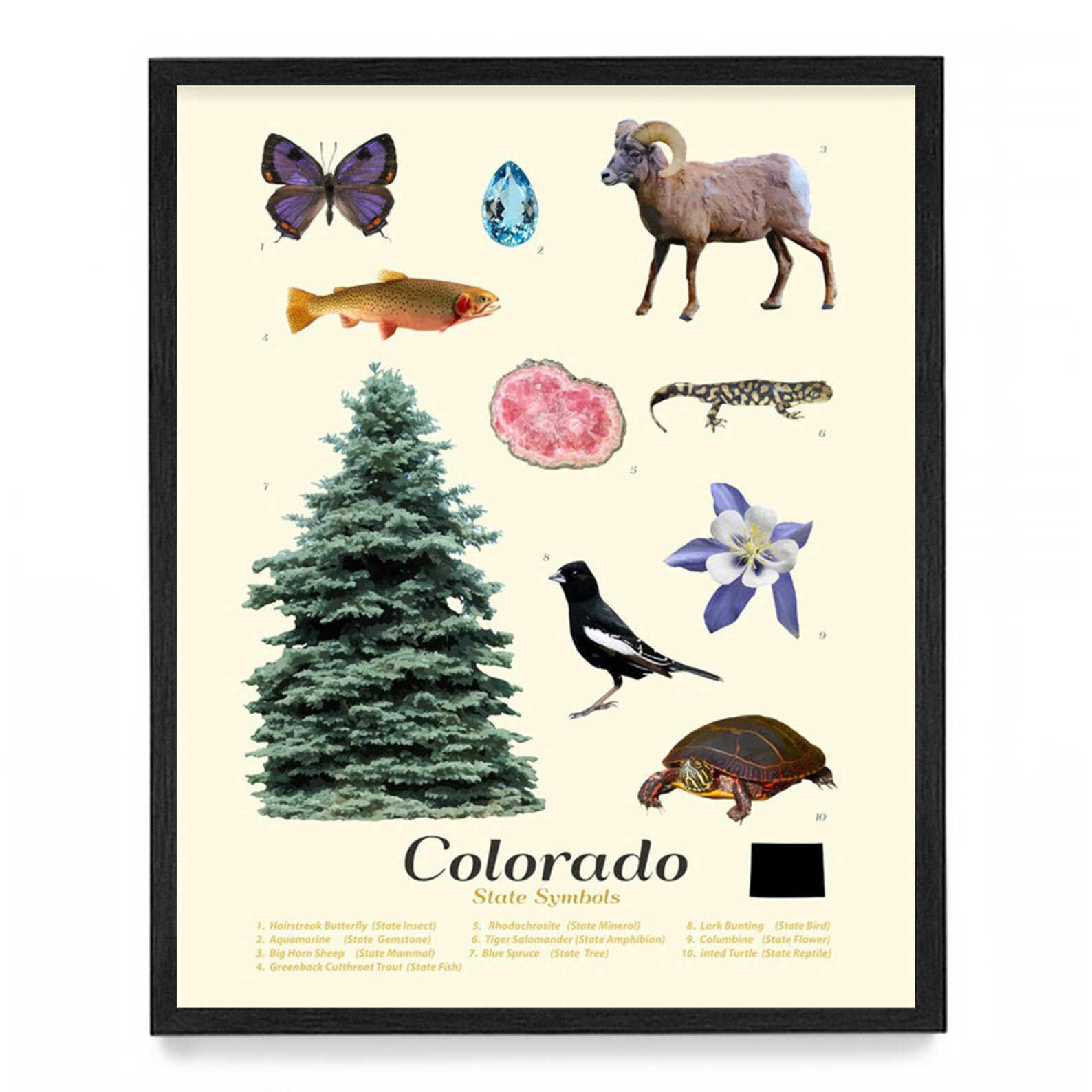 Colorado State Symbols Typology Colorado Art Colorado Poster Colorado ...