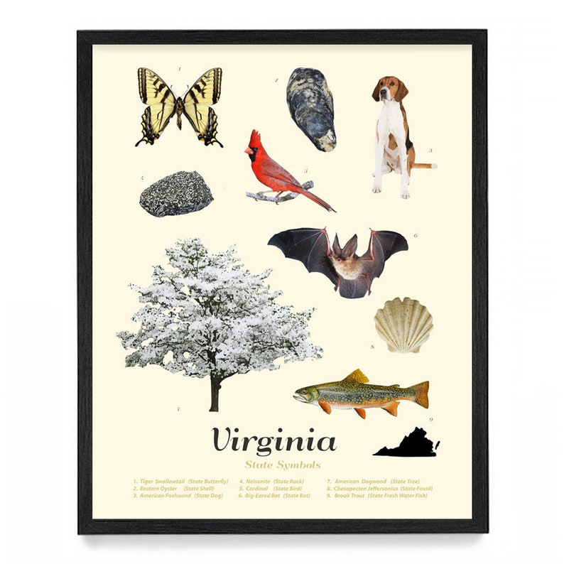 Virginia State Symbols Typology Virginia Art Virginia | Etsy