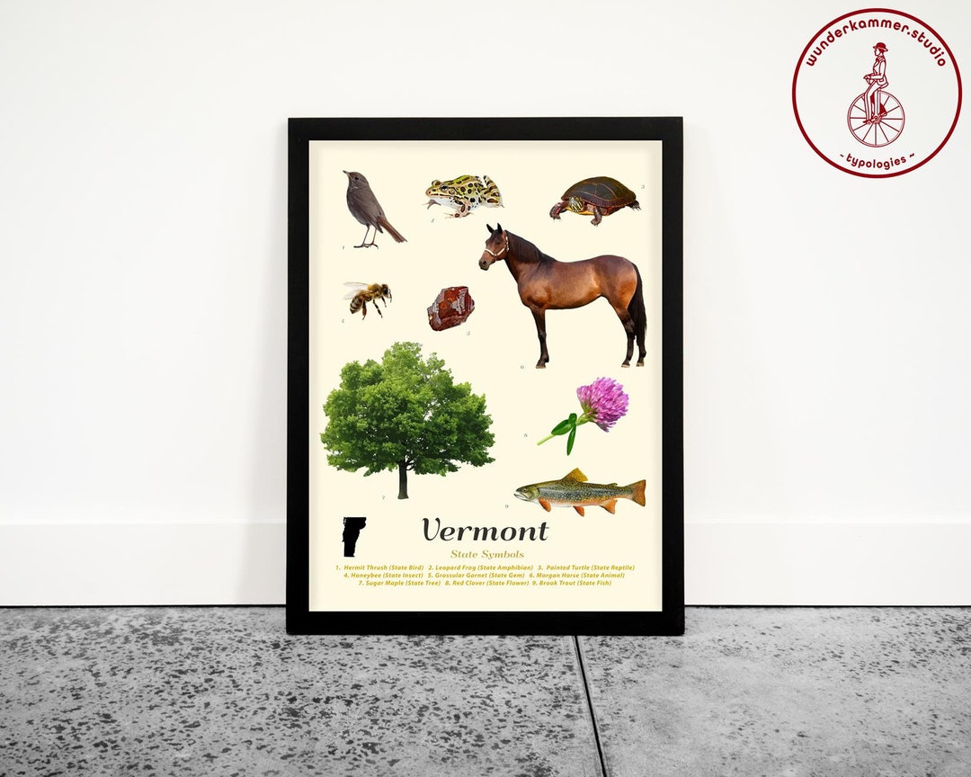 Vermont State Symbols Art Print: Vermont Home Decor - Etsy