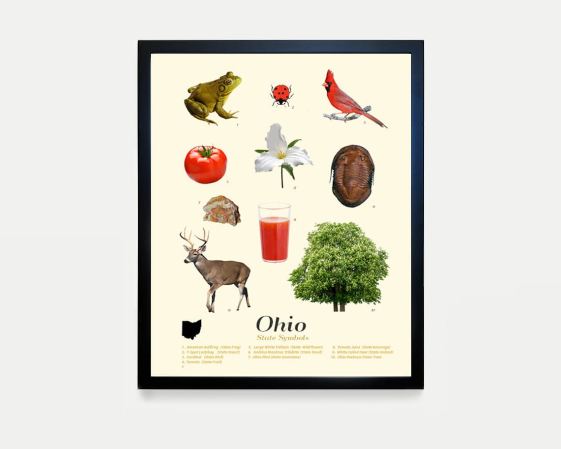 Ohio State Symbols Typology Poster Ohio Wall Art Ohio Home - Etsy