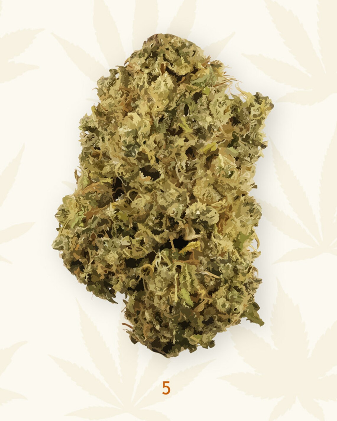 Cannabis Poster the Landrace Cannabis Strains Poster - Etsy